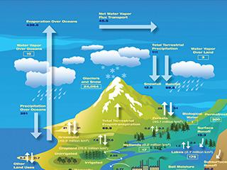 Carbon Cycle | AIRS